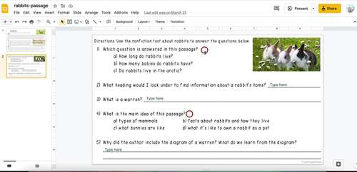 Rabbits Nonfiction Text by Learning with Lexie | TPT