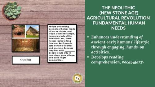 Neolithic New Stone Age Agricultural Revolution Fundamental Needs 3 ...