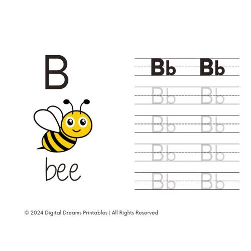 Tracing Letters Practice B for Bee Booklet Uppercase, Lowercase, Blank