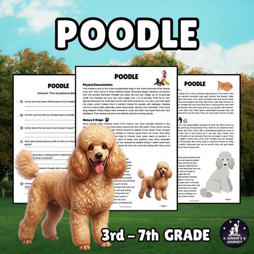 Poodle Reading Comprehension | Informational Worksheet | Dog Unit