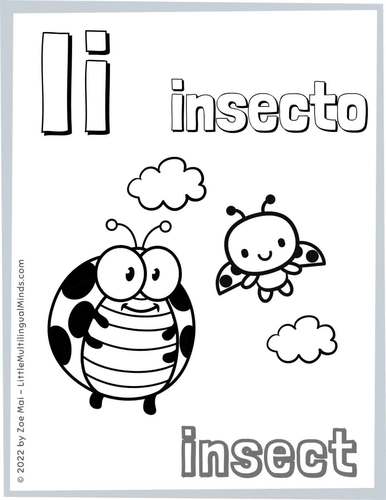 Spanish Alphabet Worksheet Teaching Resource - El Alfabeto (Bilingual)