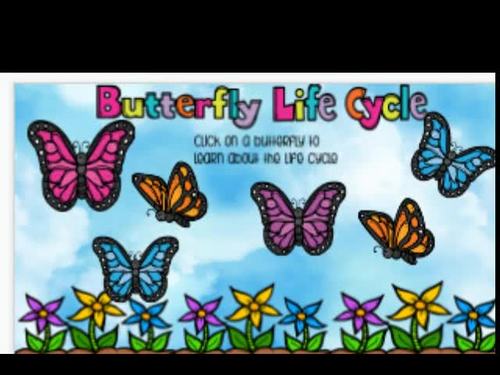Butterfly Life Cycle Google Classroom/Google slides by The Primary Sisters