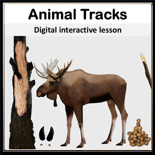 Animal Tracks & Wildlife Signs: Ecology and Tracking – Interactive Lesson