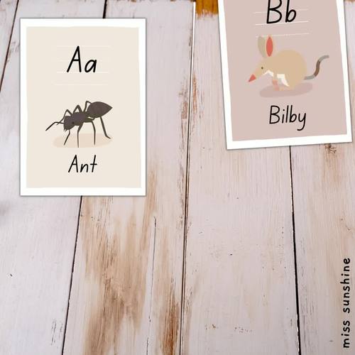ABC Alphabet Flashcards Learning Letter Native Australian Animals ...