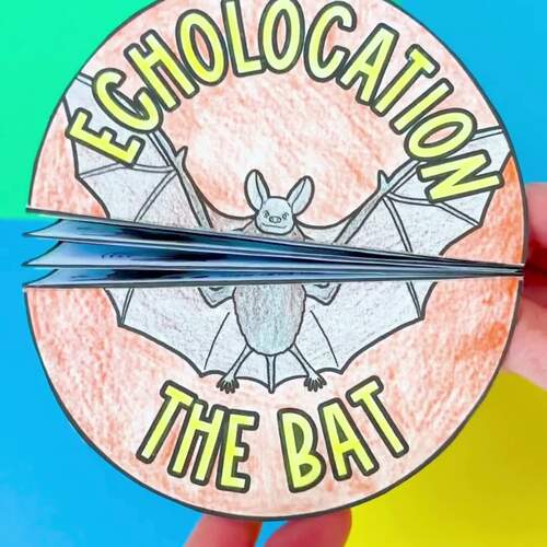 Animal adaptations senses echolocation sequence and fold activities bat ...