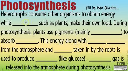 Photosynthesis ~Interactive Digital Resource for Google Slides~ | TpT