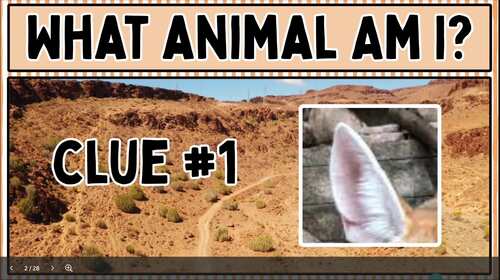 Fennec Fox Habitat & Adaptations | Lesson l Teaching Slides l Worksheets