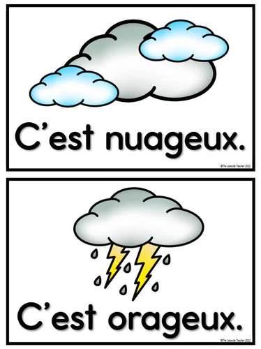 FRENCH Weather Posters | La Météo | French Weather Vocabulary | TPT