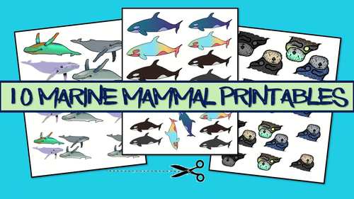 10 MARINE MAMMALS PRINTABLE CUT-OUTS: Original art, coloring pages, and ...