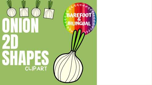 Onion Clipart Shapes - 2D Shape Veggie Clipart | TPT