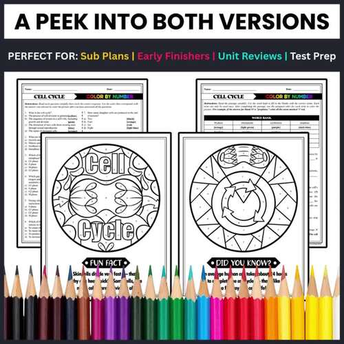 Cell Cycle Color by Number | Biology Coloring Review Worksheet Activity