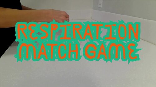 Respiration Match Card Game: Game-based Review Activity Science Anatomy ...