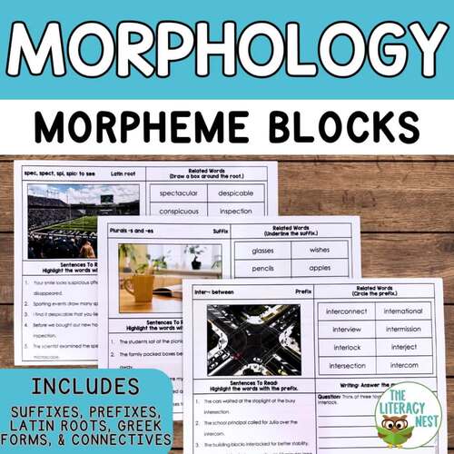 Morphology Activities Prefixes, Suffixes, Roots, Greek Forms Orton ...