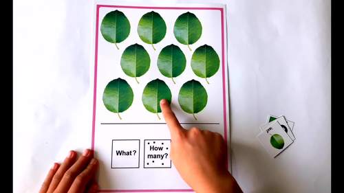 WHAT? HOW MANY? WHAT COLOR? Special Education Activity Autism Set 2