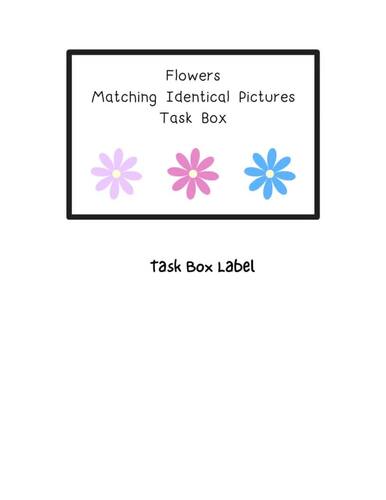 FLOWERS Matching Identical Pictures Task Box by Pre-K Life | TPT