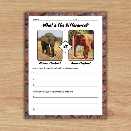 Animal Comparison Worksheets | 8 Editable Templates and PDF | ESL ...