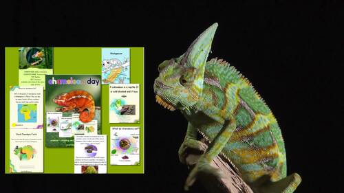 Chameleon Unit Study non-fiction writing comprehension reading ...