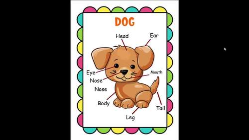 Animal body parts Flash cards for K & Prek kids to learn Animal vocabulary