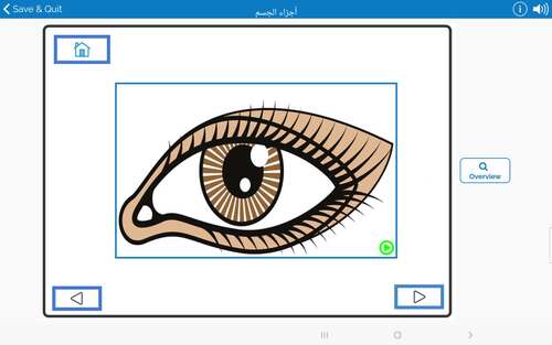 Learn the parts of the body Arabic language boom cards -تعلم أجزاء الجسم