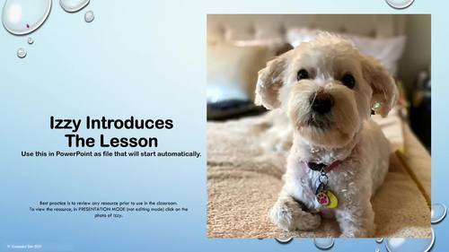 READY TO USE NO PREP Responding Mean Teasing Bullying Prevention SEL ...