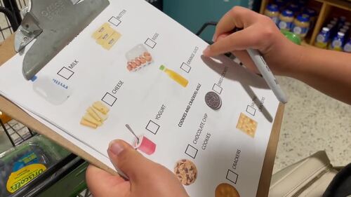 Visual Shopping List/Grocery Shopping Scavenger Hunt/Special Needs