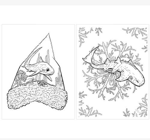 Shark Coloring pages- 7 Hand drawn Shark themed coloring pages | TPT