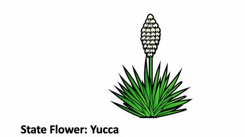 New Mexico Powerpoint, 50 States, Special Education | TPT