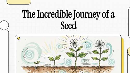 Life Cycle Activities Bundle | Plant Life Cycle Animal Life Cycles ...