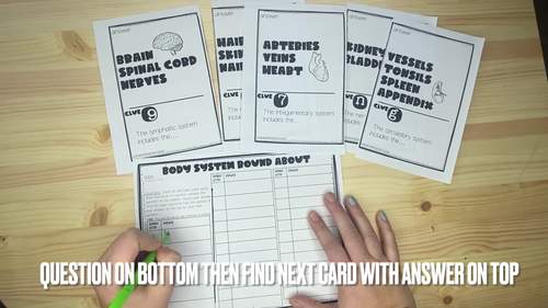 Body Systems Task Cards/Dominoes by BodenKelly Science | TPT