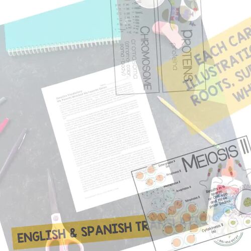 Genetics | Heredity Illustrated Word Wall PLUS Word Roots - ENGLISH SPANISH