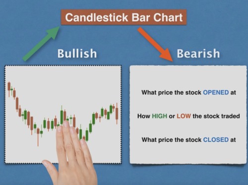 Lesson 6 - Price Charts by The Stock Market Course | TpT