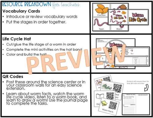 Worm Life Cycle l All about Worms l Worm Science Activities by DN Creations