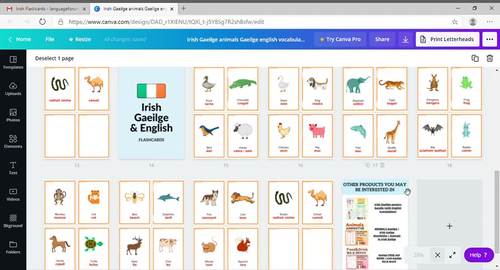IRISH GAEILGE animals flash cards by Language Forum | TpT