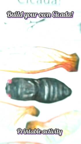 Build your Own Cicada - Make your Own Insect for the 2025 Cicada Emergence