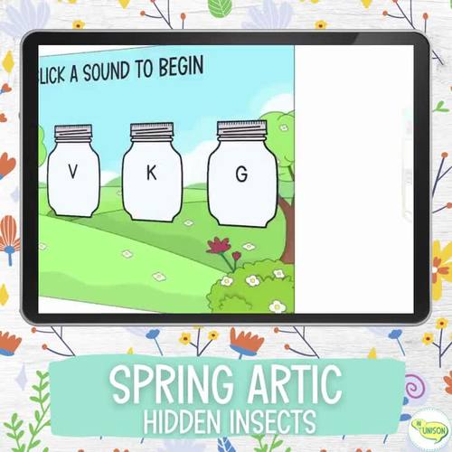 Spring Articulation Boom Cards™ Find the Hidden Insects F V K G | TPT