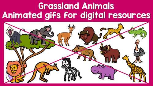 Animated GIFs Grassland Animals | Savanna Animal Kingdom GIF | TPT