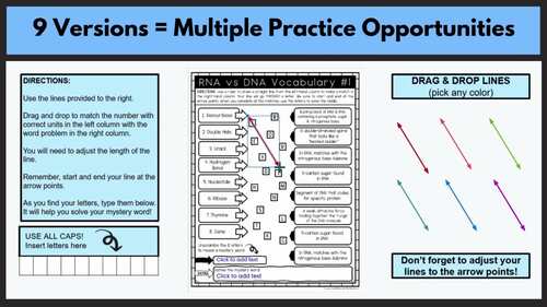 RNA & DNA Structure & Function-BUNDLE-Engaging Vocabulary Activities!