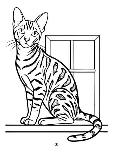 Cats Coloring Pages: Simple and Relaxing Coloring Book with Cat Breeds ...