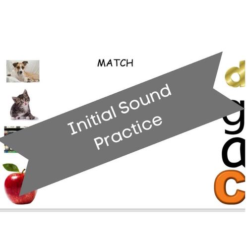 Orton Gillingham CVC and VC words (EBRI) short vowels and digraphs- phonics