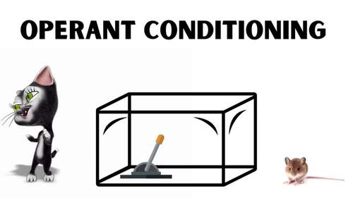 OPERANT CONDITIONING PSYCHOLOGY by All at Once | TPT