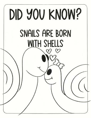 spring coloring pages | spring bug activity pack by On the bayou-teacher