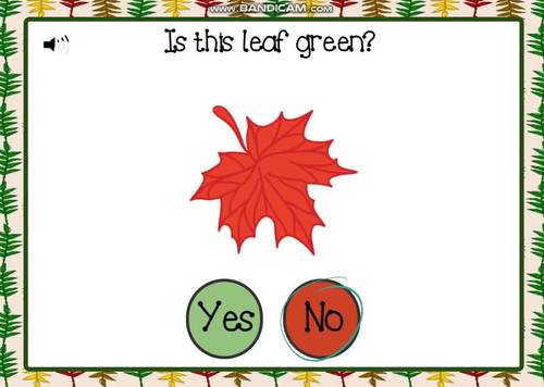 Fall Yes/No Questions (DIGITAL NO PREP) by SimpleHappyPreschoolFun