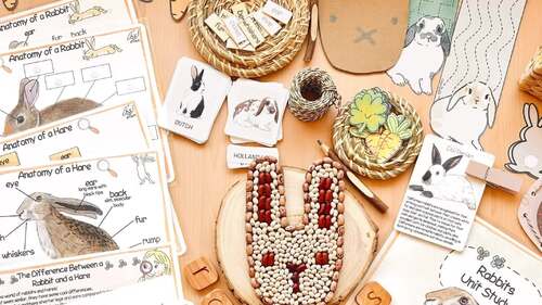 Rabbit Unit Study Anatomy, Life Cycle Homeschool Easter Bunny Spring ...