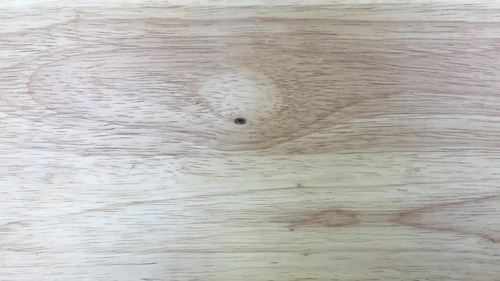 Australian and Global Citizenship Unit Assessment (Year 6 HASS) | TPT