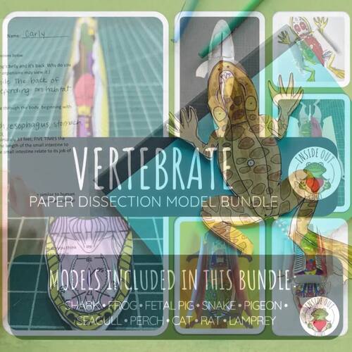 Vertebrate Animal Dissection Zoology | Biology 3-D Paper Dissection ...