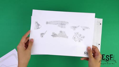 Fish Skeleton with worksheets! by Mr Es Specialties | TPT