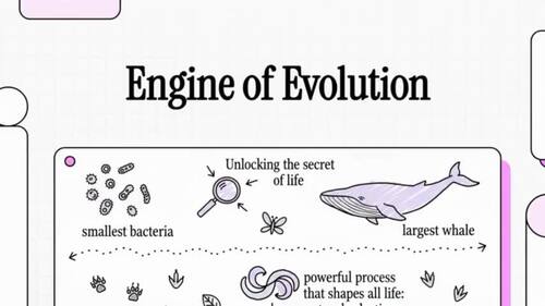 Natural Selection Worksheet Video PowerPoint | Evolution Unit | Darwin ...
