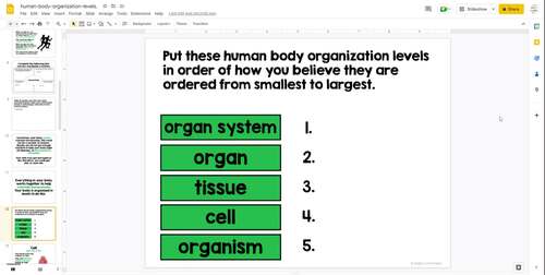 Human Body Organization Levels Interactive Lesson | TPT