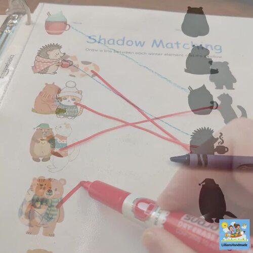 10 Page Winter Animal Shadow Matching for Preschool & Early Elementary ...
