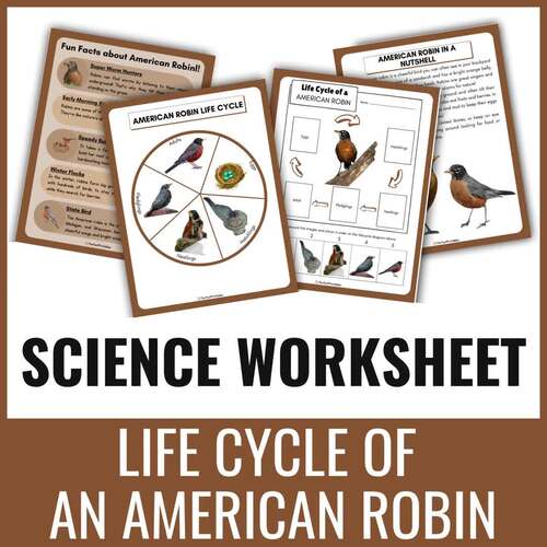 American Robin Life Cycle Worksheet- Birds Science Unit Study With Fun ...